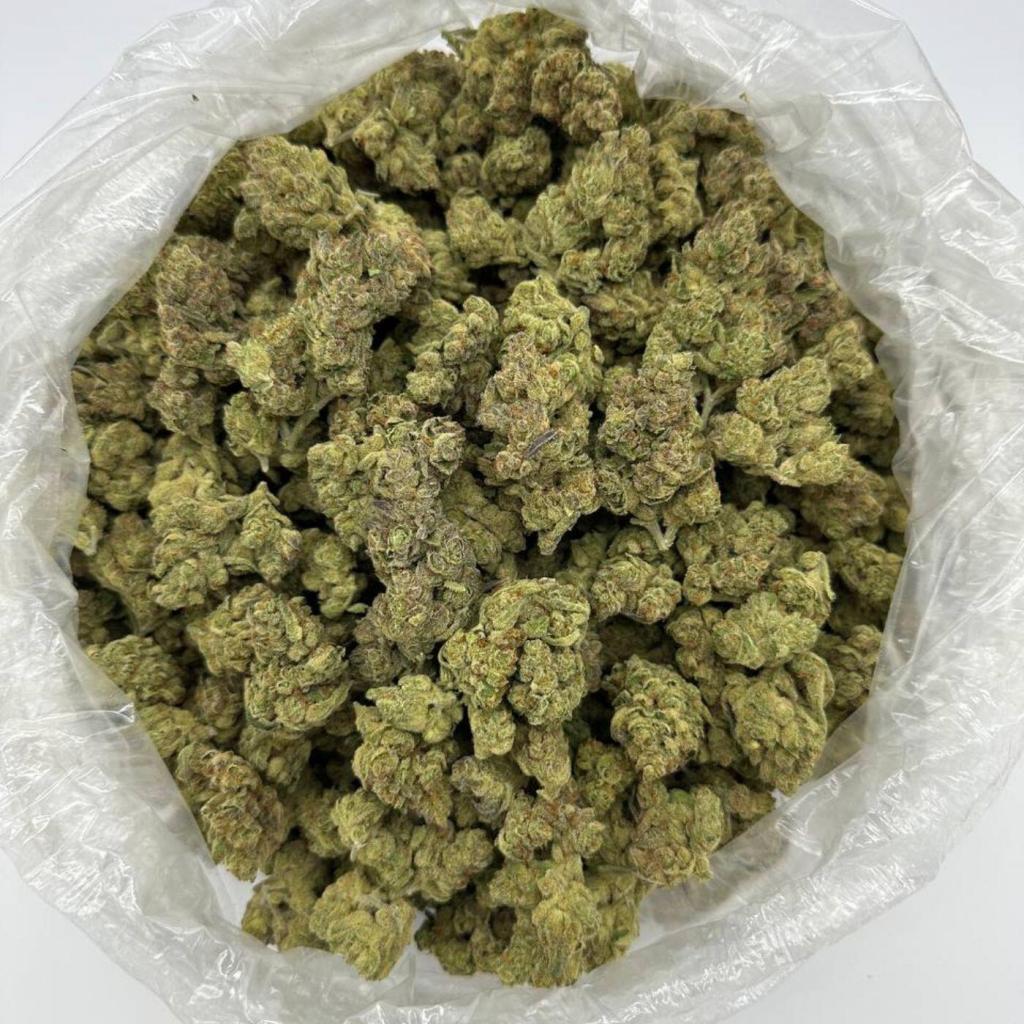 Pluto Weed Strain Granddaddy pluto strain indica or sativa