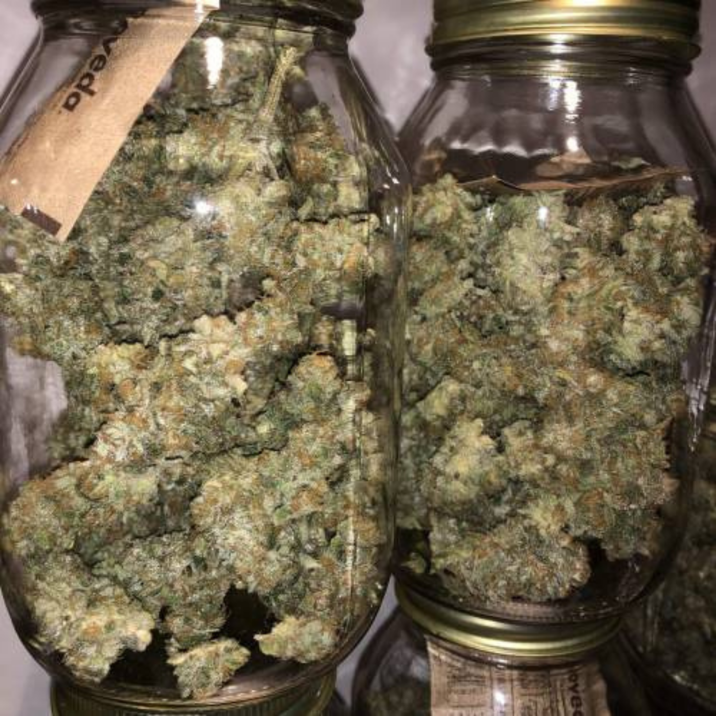 Pluto Weed Strain - Buy 1 Oz, Granddaddy Pluto Strain