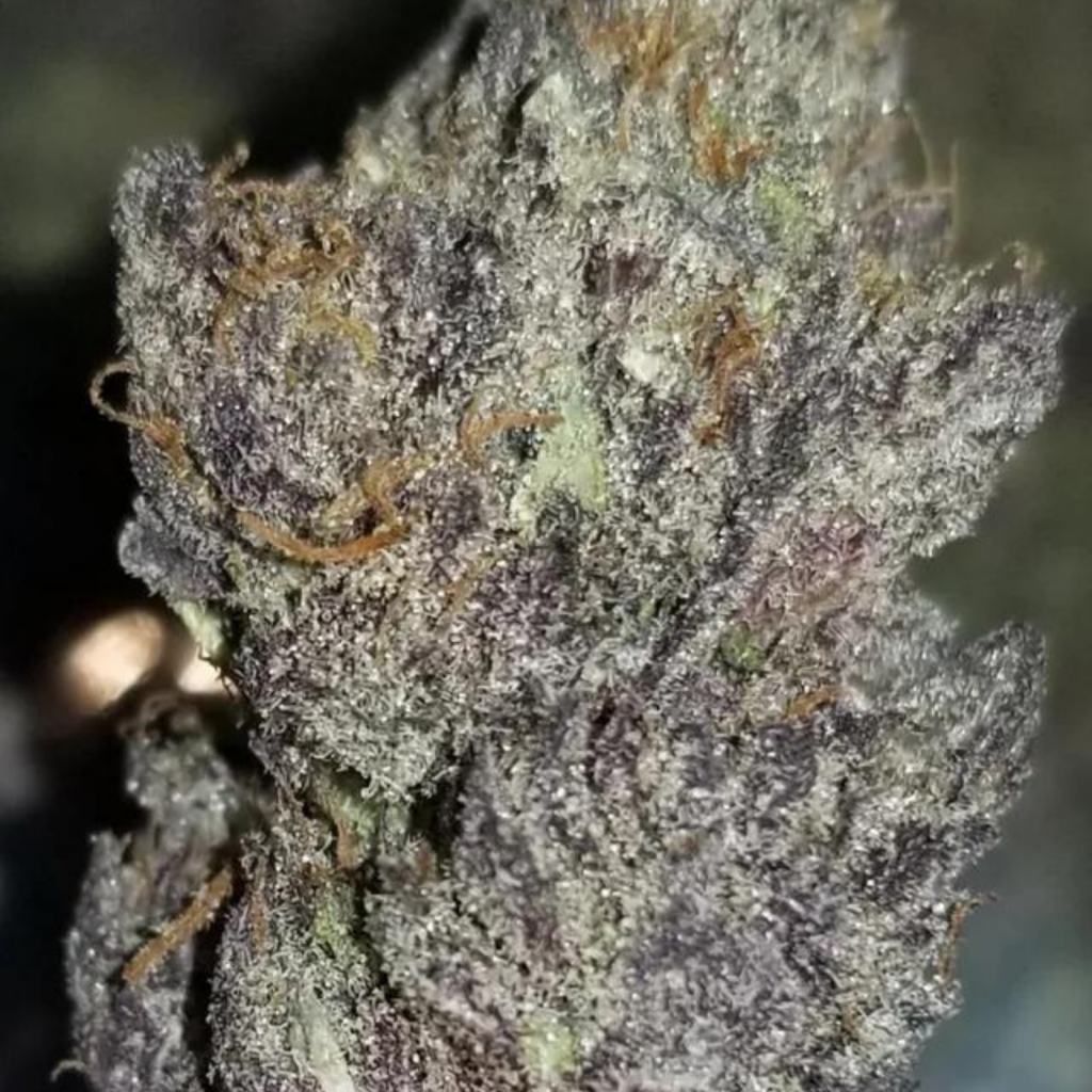 Purple diamond strain - Buy 2 Oz, Diamond Punch Strain