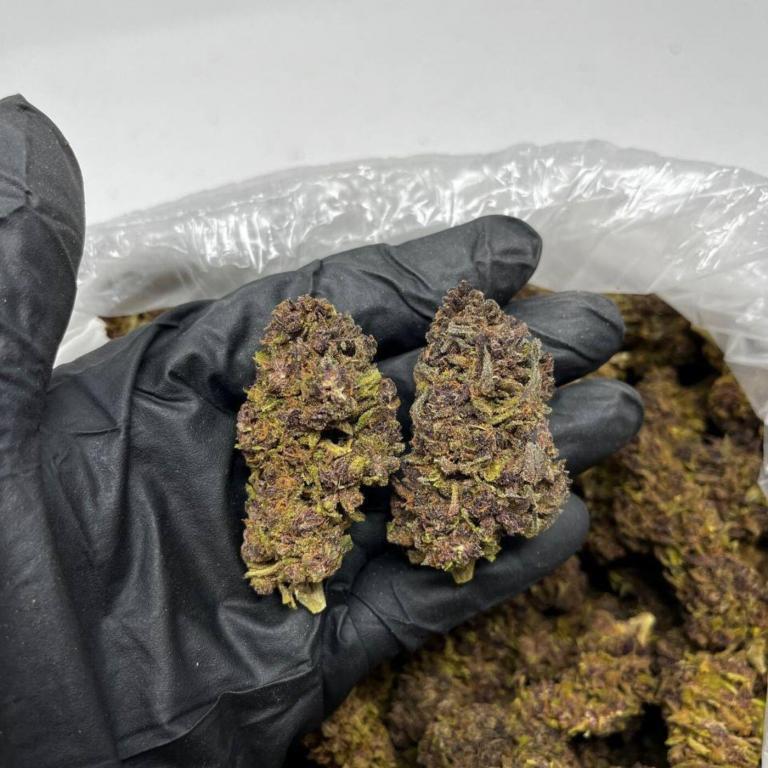 Space Age Cake Strain: The Unique Qualities and Flavor Profile