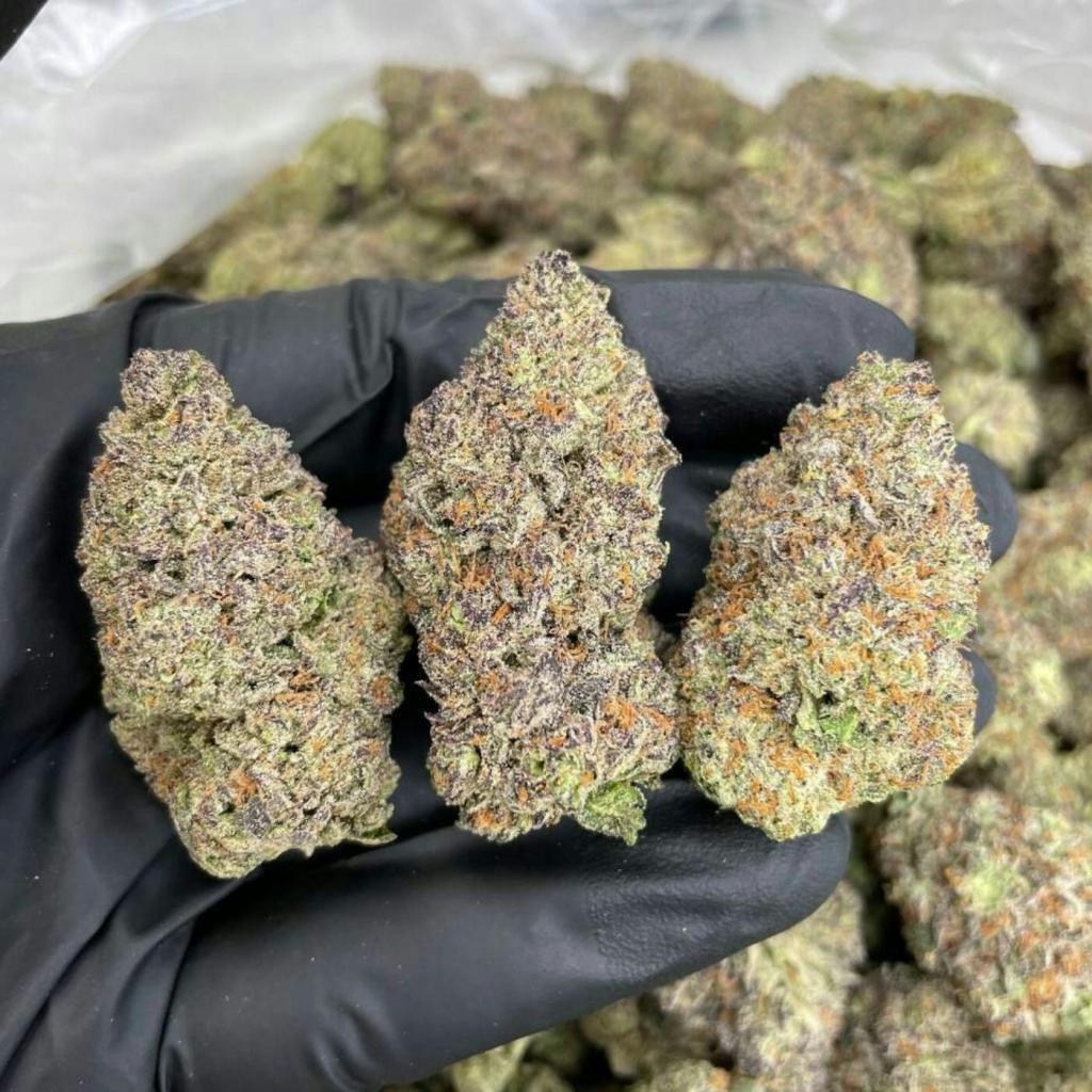 Oreoz weed strain - Dispensary that ship - Oreo cookies strain