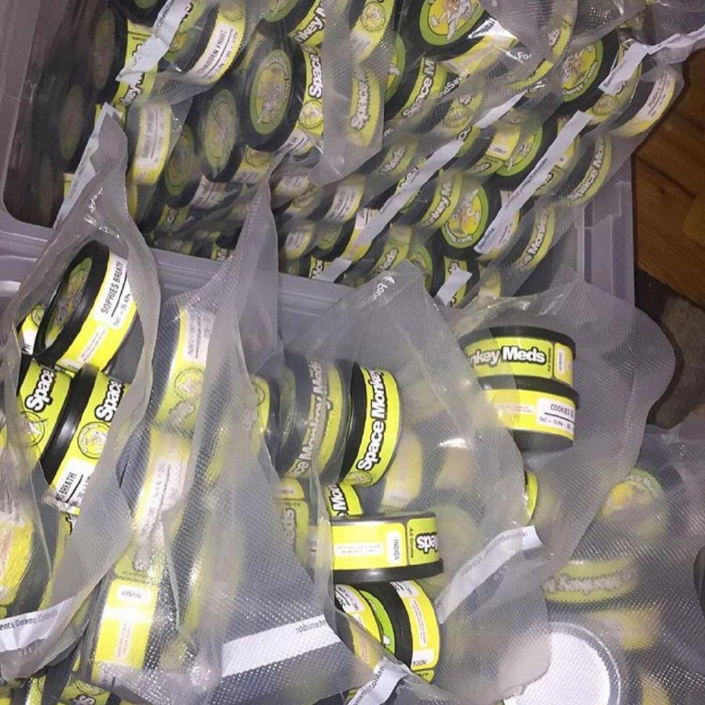 SPACE MONKEY MEDS - Galactic Monkey Strain