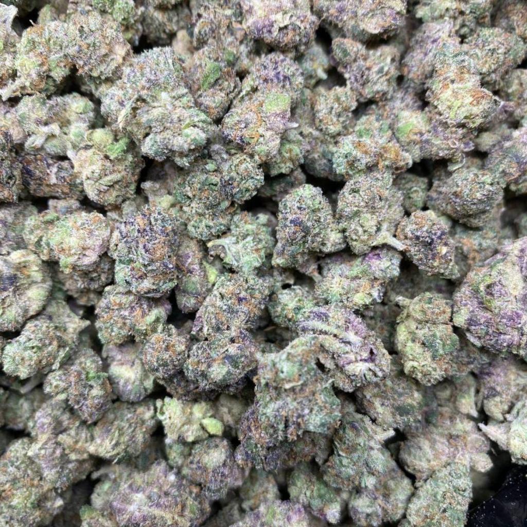 Sharklato Weed Strain - Buy 1 Oz shark gelato strain - ASAP