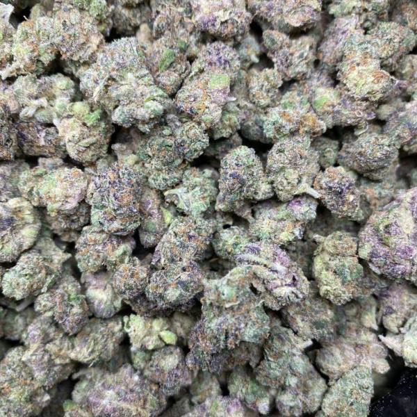 Pluto Weed Strain Granddaddy pluto strain indica or sativa